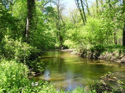 Why Preserve Land? - - Chikaming Open Lands