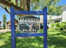 Chikaming Open Lands