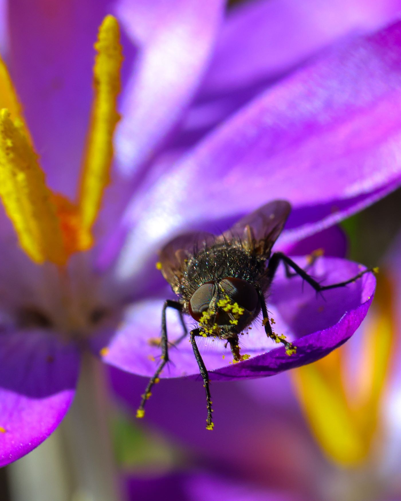 Meet the Artists - - Chikaming Open Lands