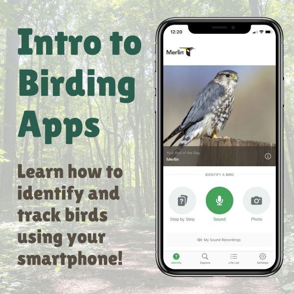 Intro to Birding Apps - - Chikaming Open Lands