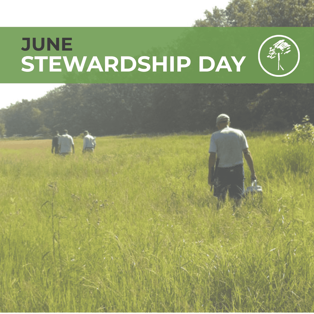 June Stewardship Day - - Chikaming Open Lands
