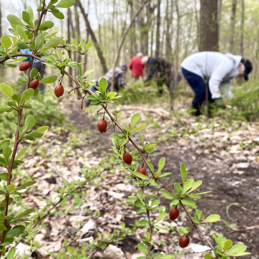 October Stewardship Day - - Chikaming Open Lands