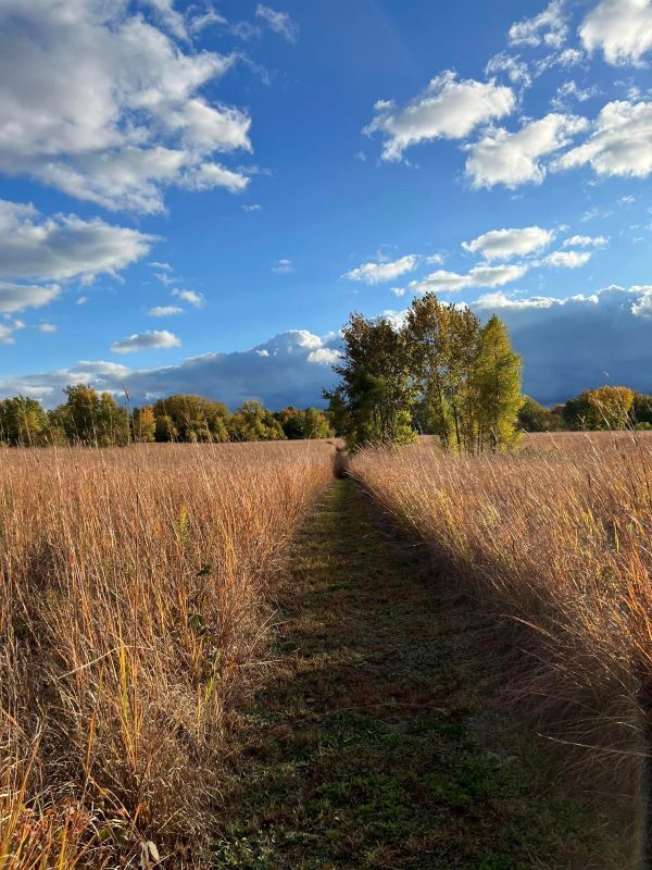 Meet the Artists - - Chikaming Open Lands